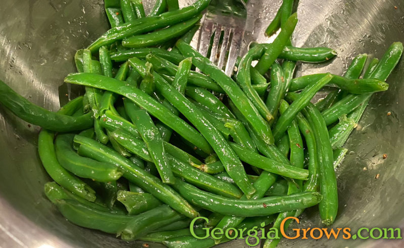 Snap Beans – Georgia Grows