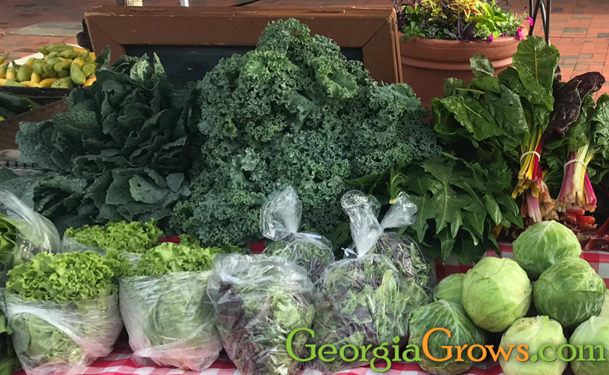 Best Produce by Month – Georgia Grows