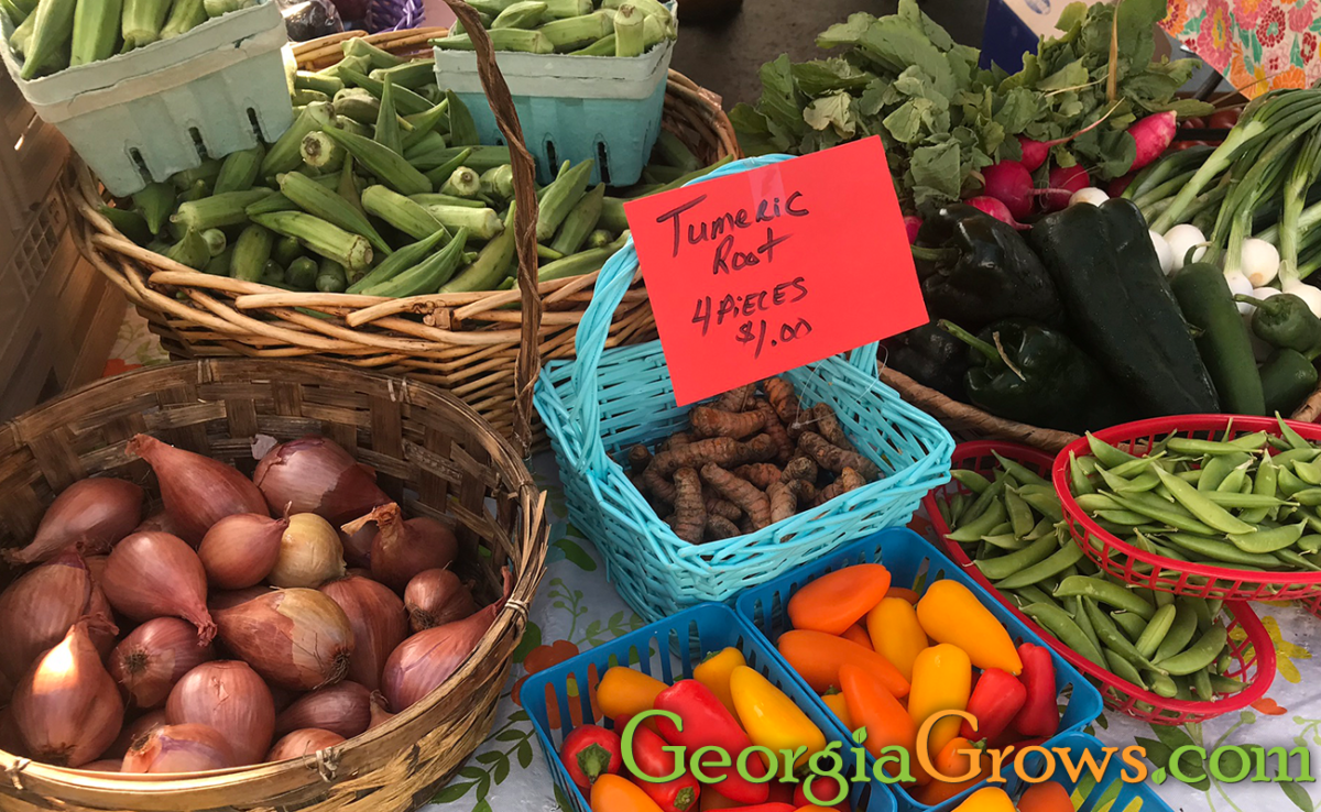 10 Benefits of Eating Local Produce – Georgia Grows